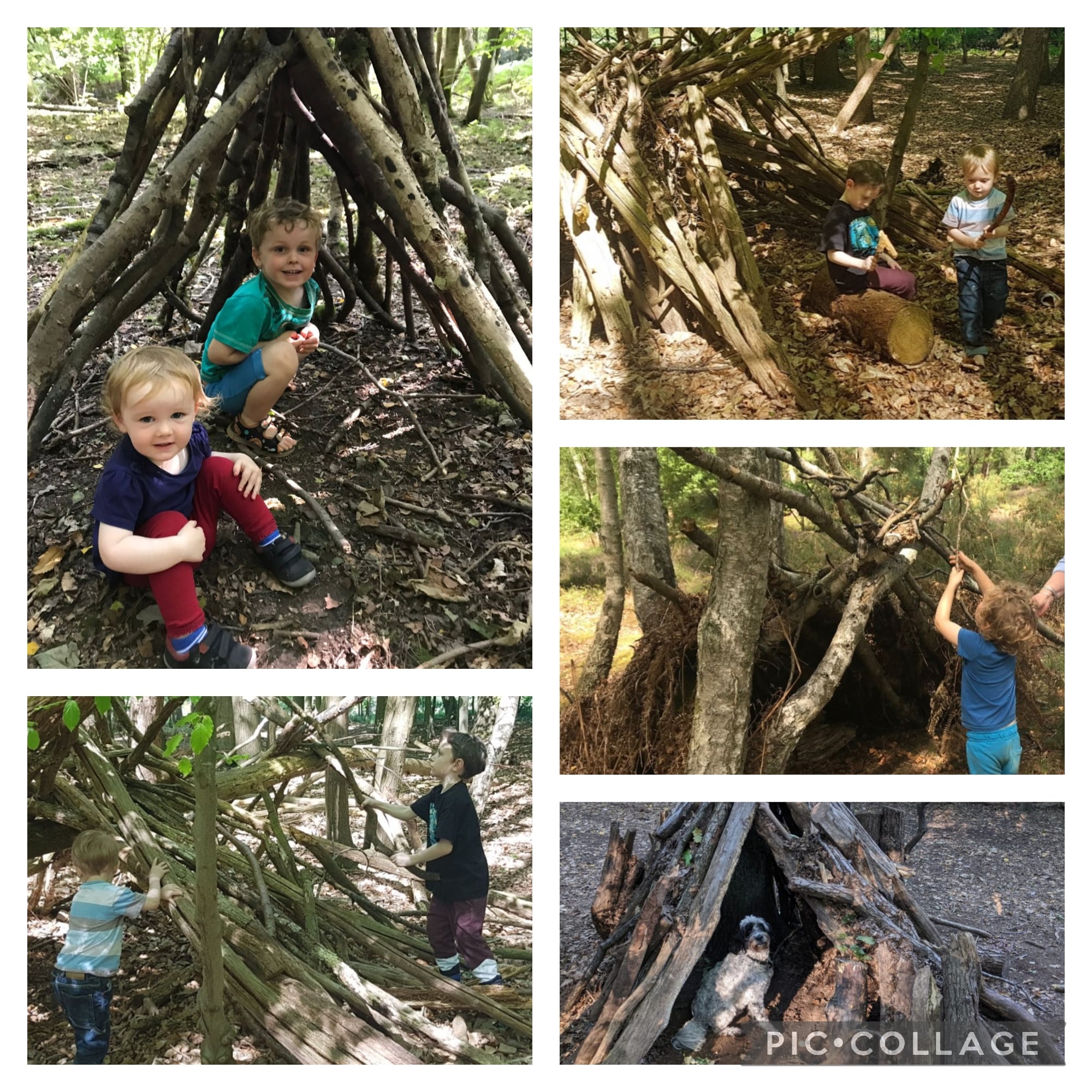 Den building | The Froebel Partnership